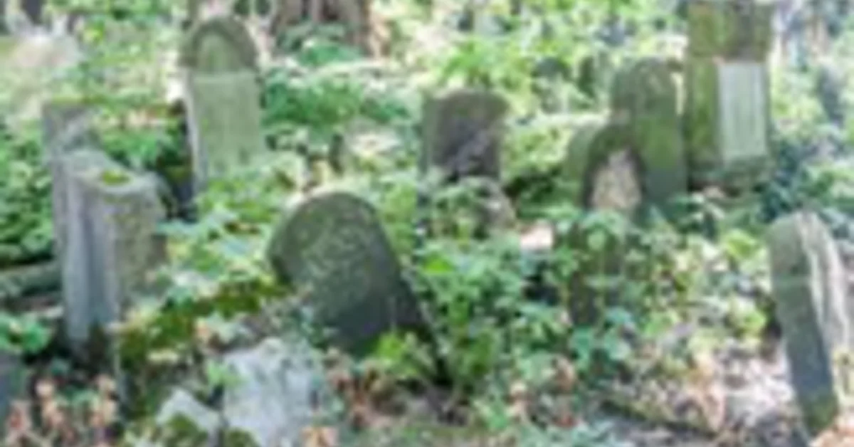 Resting in Peace - the Lure of Cemeteries | Jewish Historical Society ...
